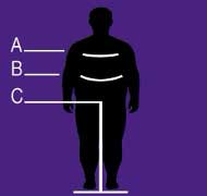 Size Charts – Wayward Workwear